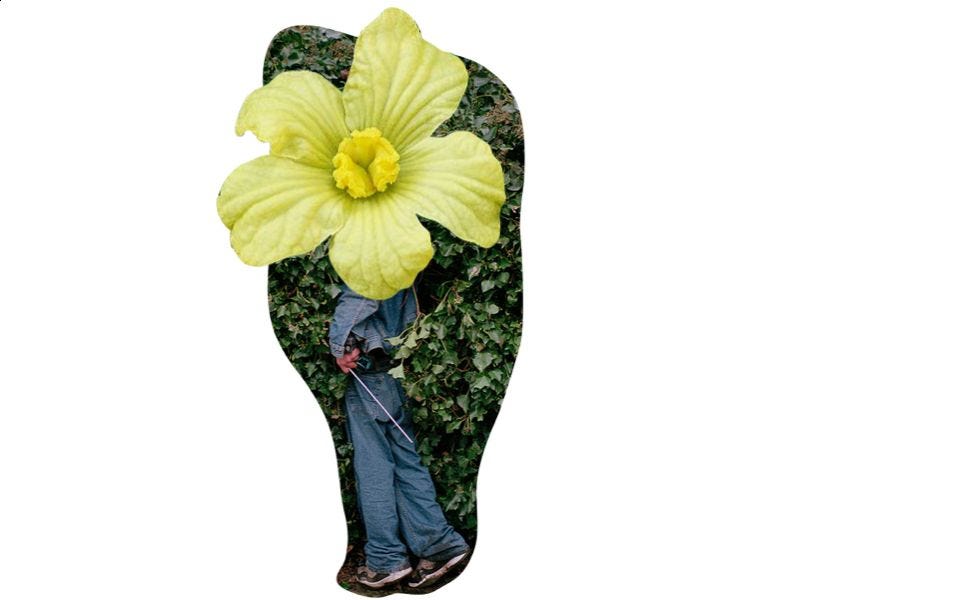 The Art of Showing Up - by Jenita - cabbage house