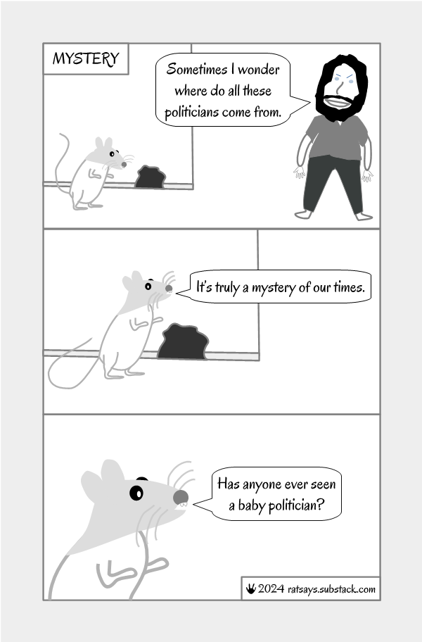 Mystery - Rat Says