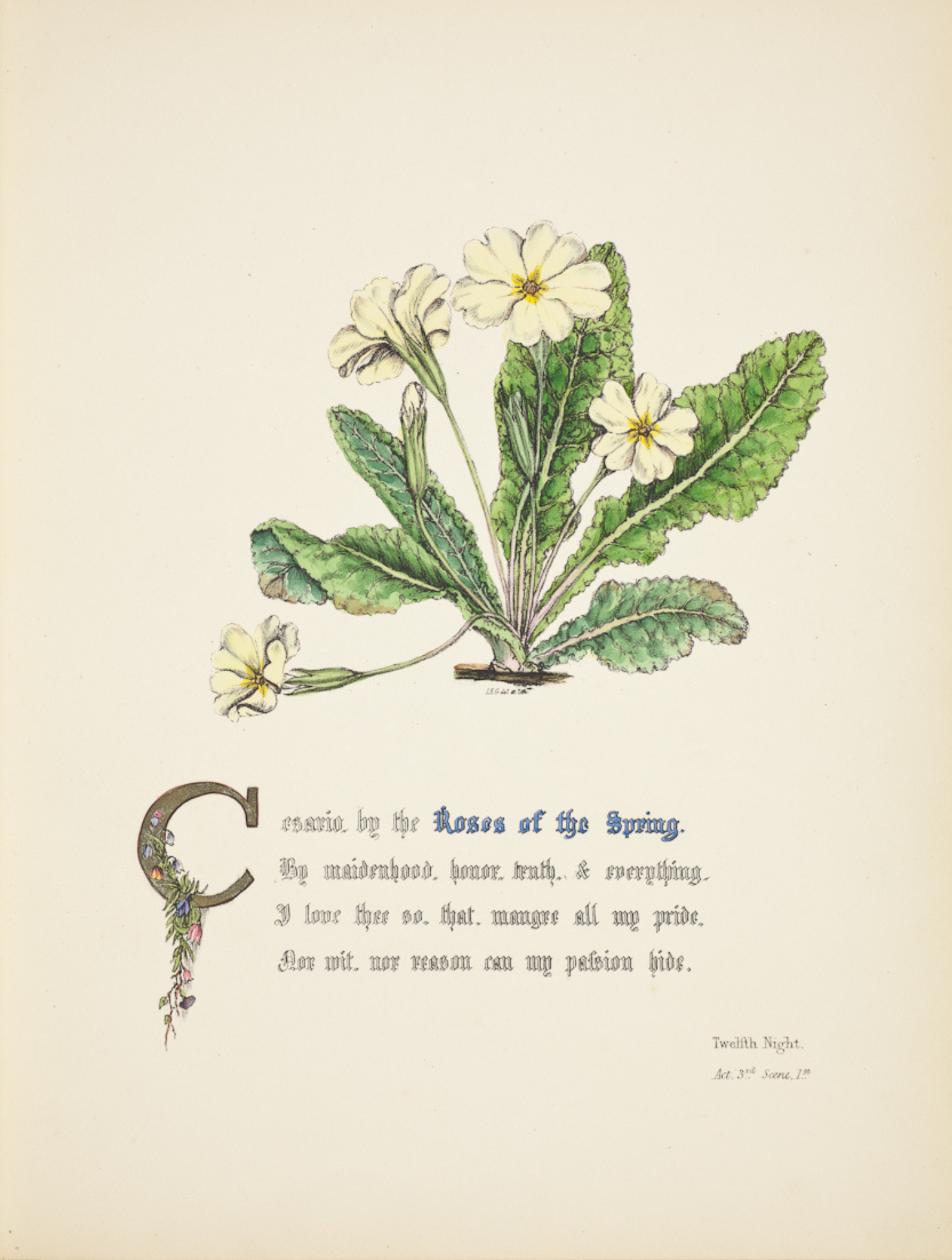 The Shakespeare Garden: Jane Elizabeth Giraud's Posies and Elizabethan ...