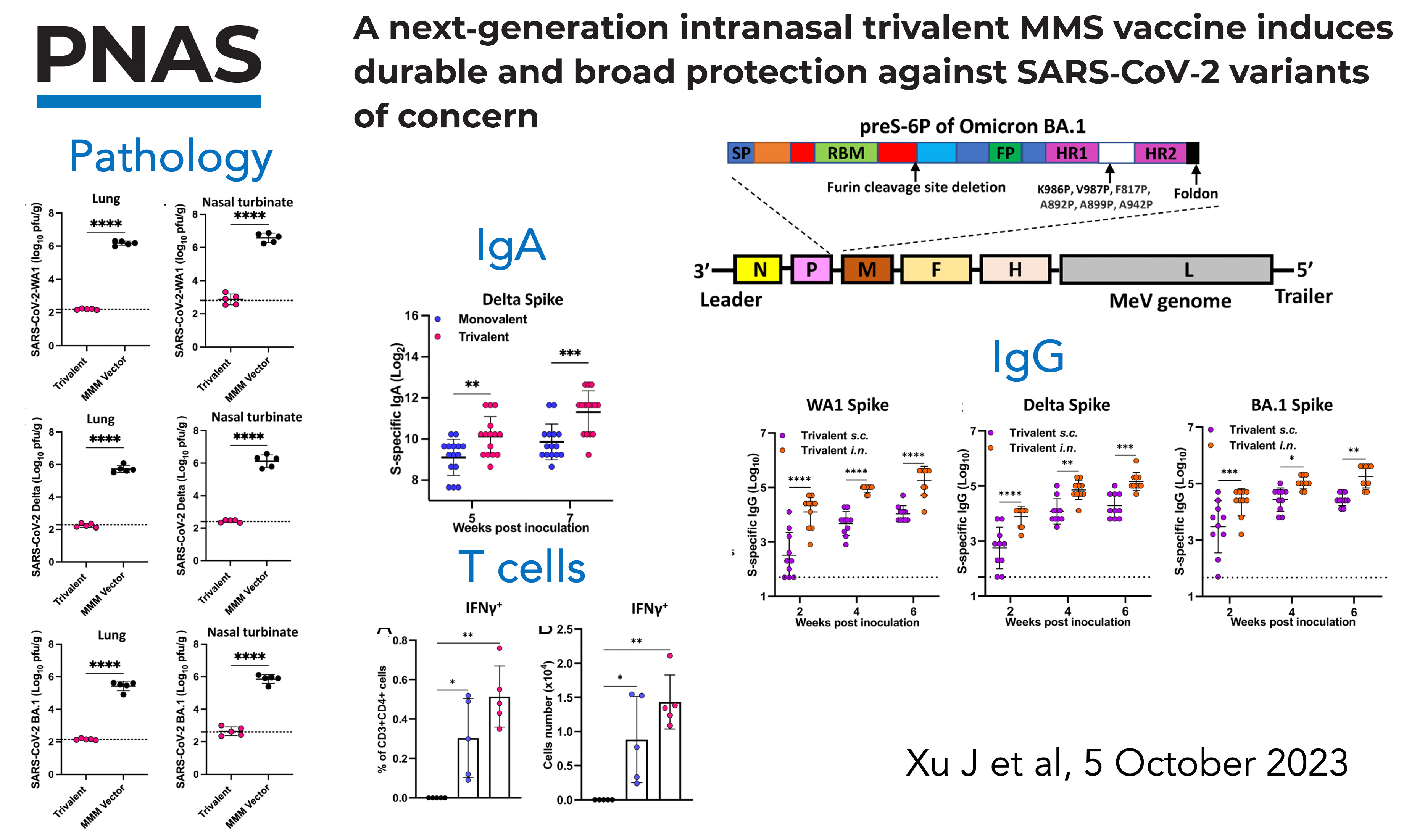 Covid Nasal Vaccines Get A Boost - by Eric Topol