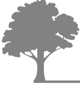 Agroforestry Partners | Substack