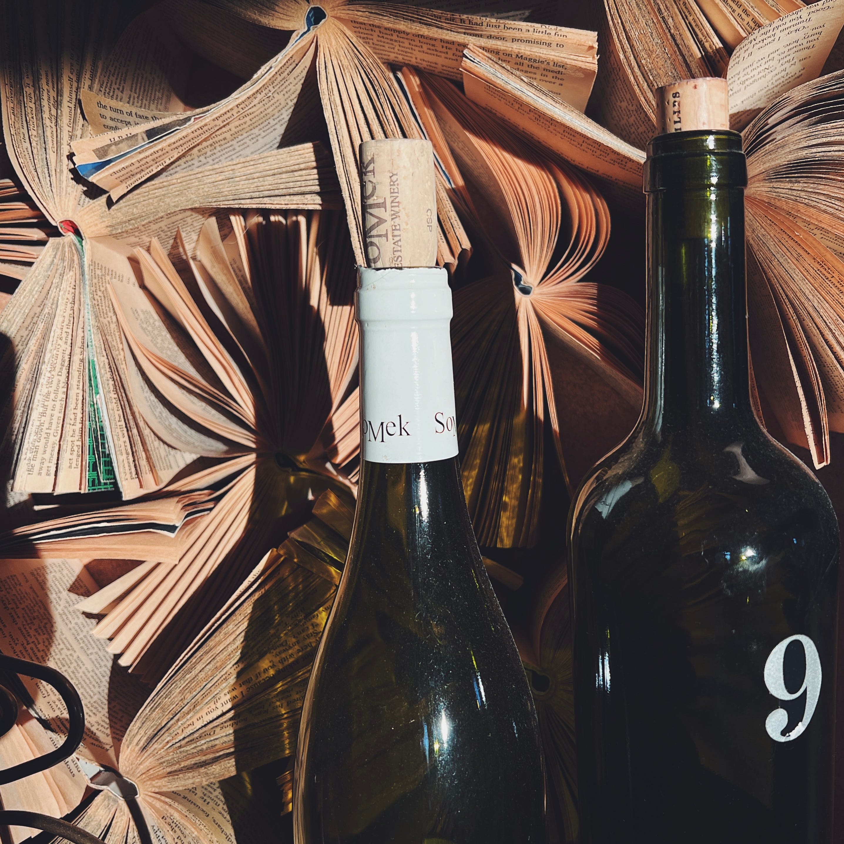 Is Simeon’s Forgotten Faithfulness Our Aspiration?