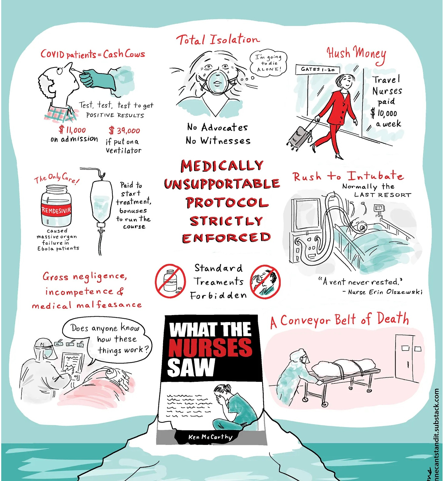 What DID the Nurses See? A must-read book and must-see cartoon by Anne ...