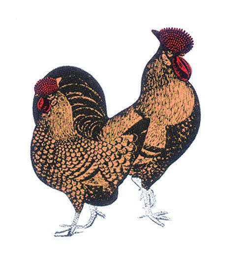 Backyard Chickens – Cool Tools