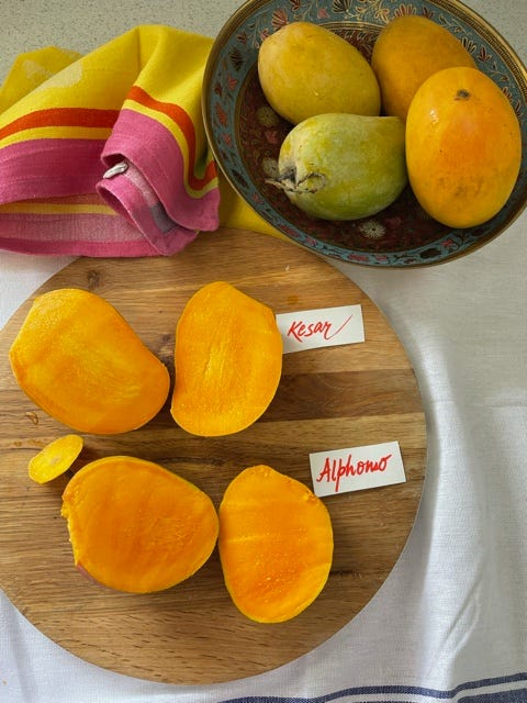 KP+: Mango panna cotta - by Nicola Lamb - Kitchen Projects