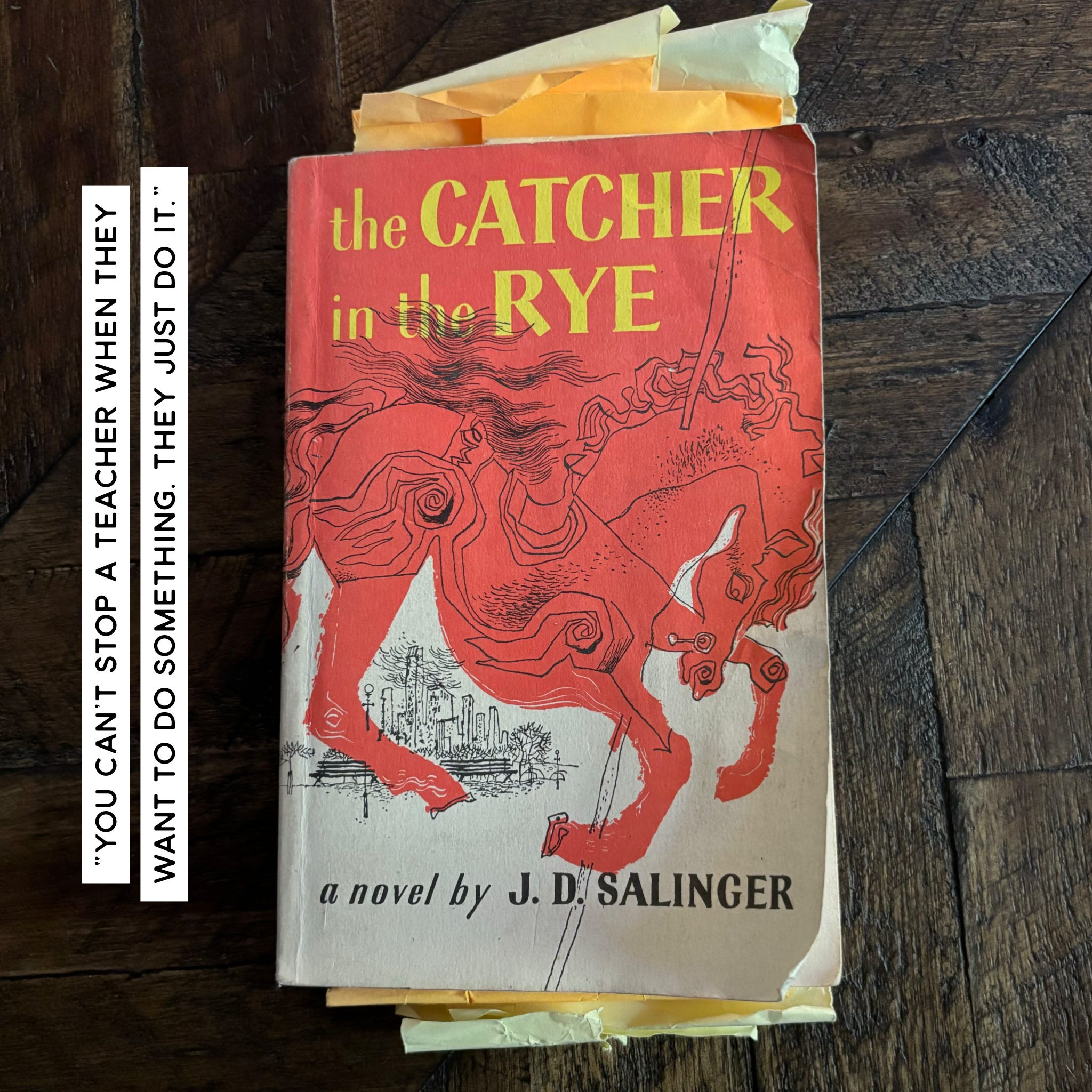 Why Still Teach The Catcher in the Rye?