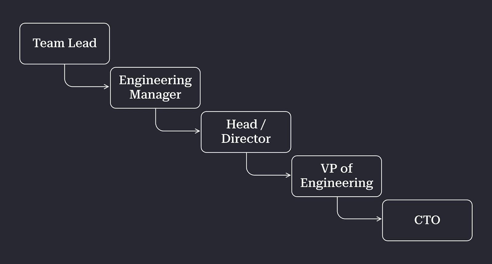 The Software Engineer’s Career - Beyond Senior