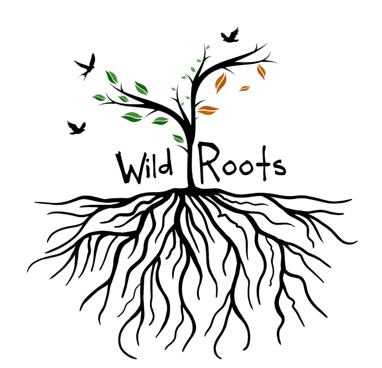 WildRoots | Substack