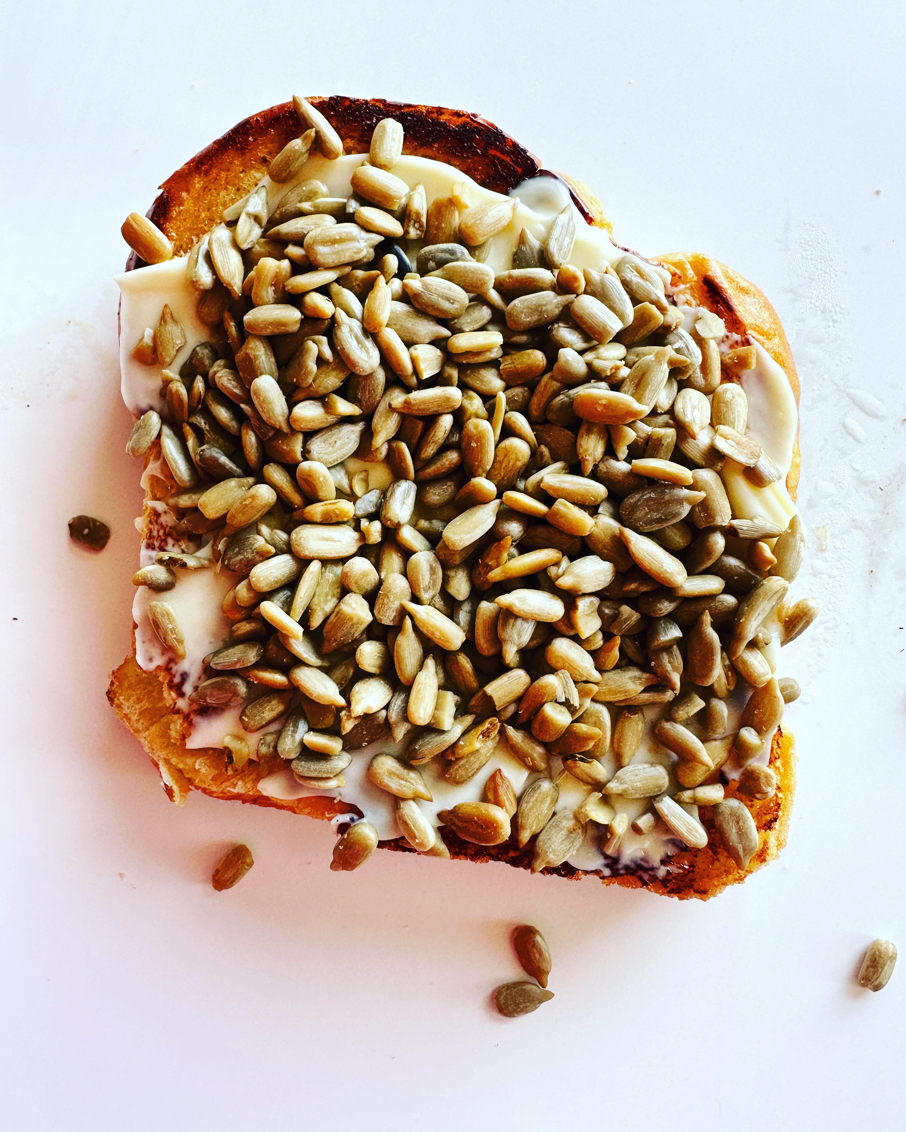 A Salady Sandwich and a Sandwichy Salad - by emily nunn