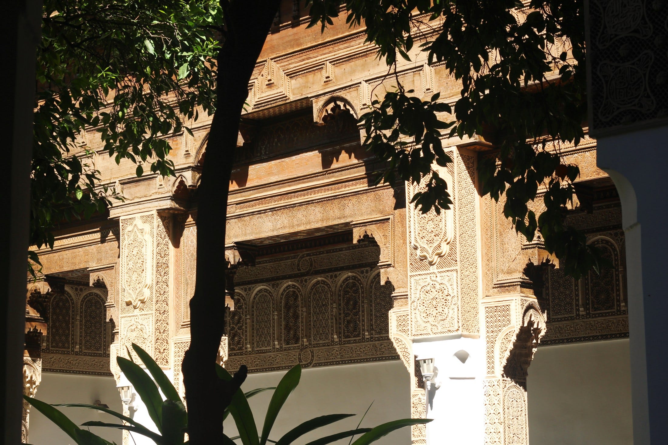 Healing the root, and a suggestion for post-eclipse restfulness