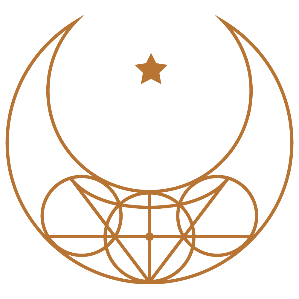 Path of The Rose | Substack