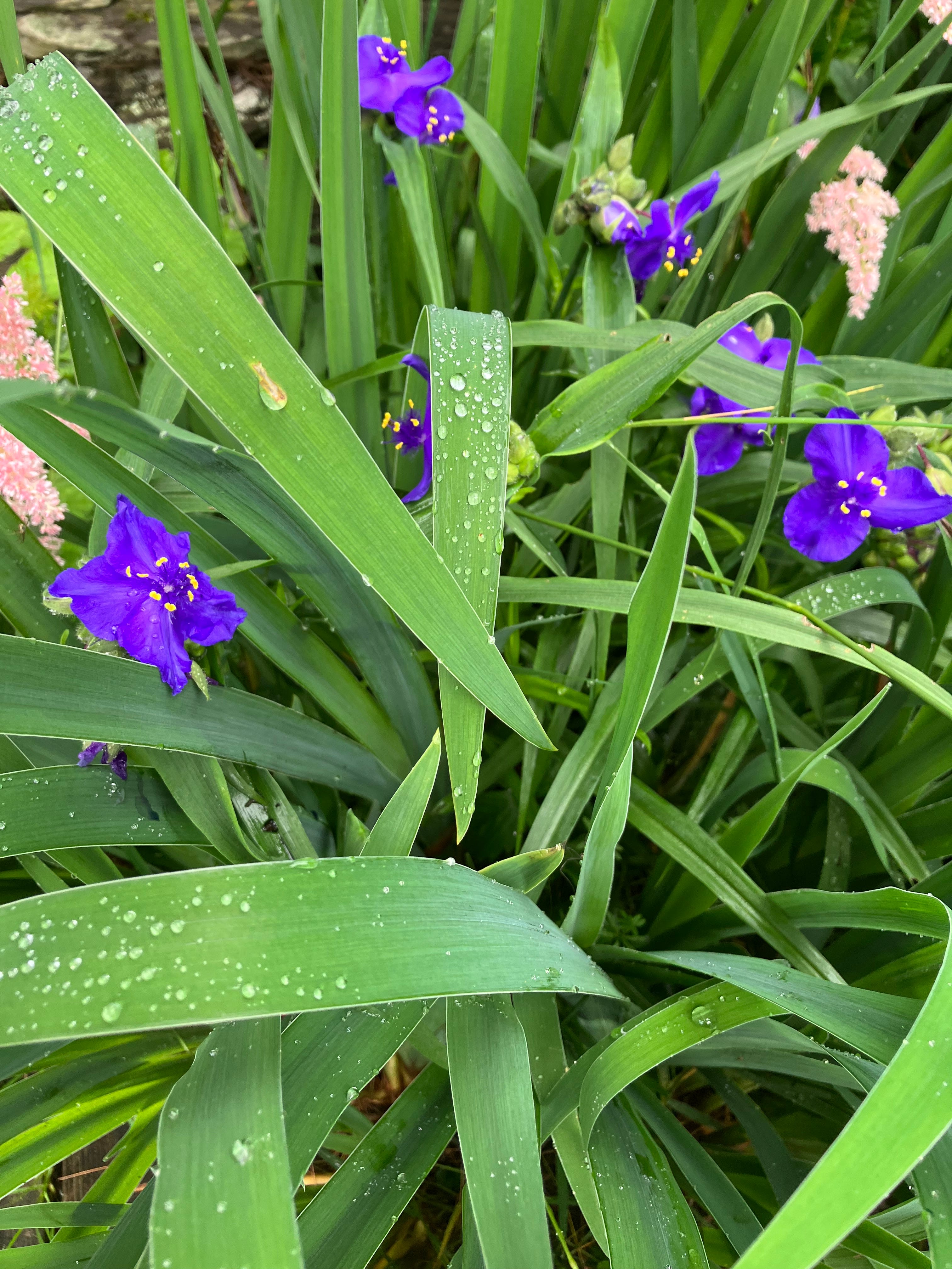 Barbara L. Philipp, MD | Substack