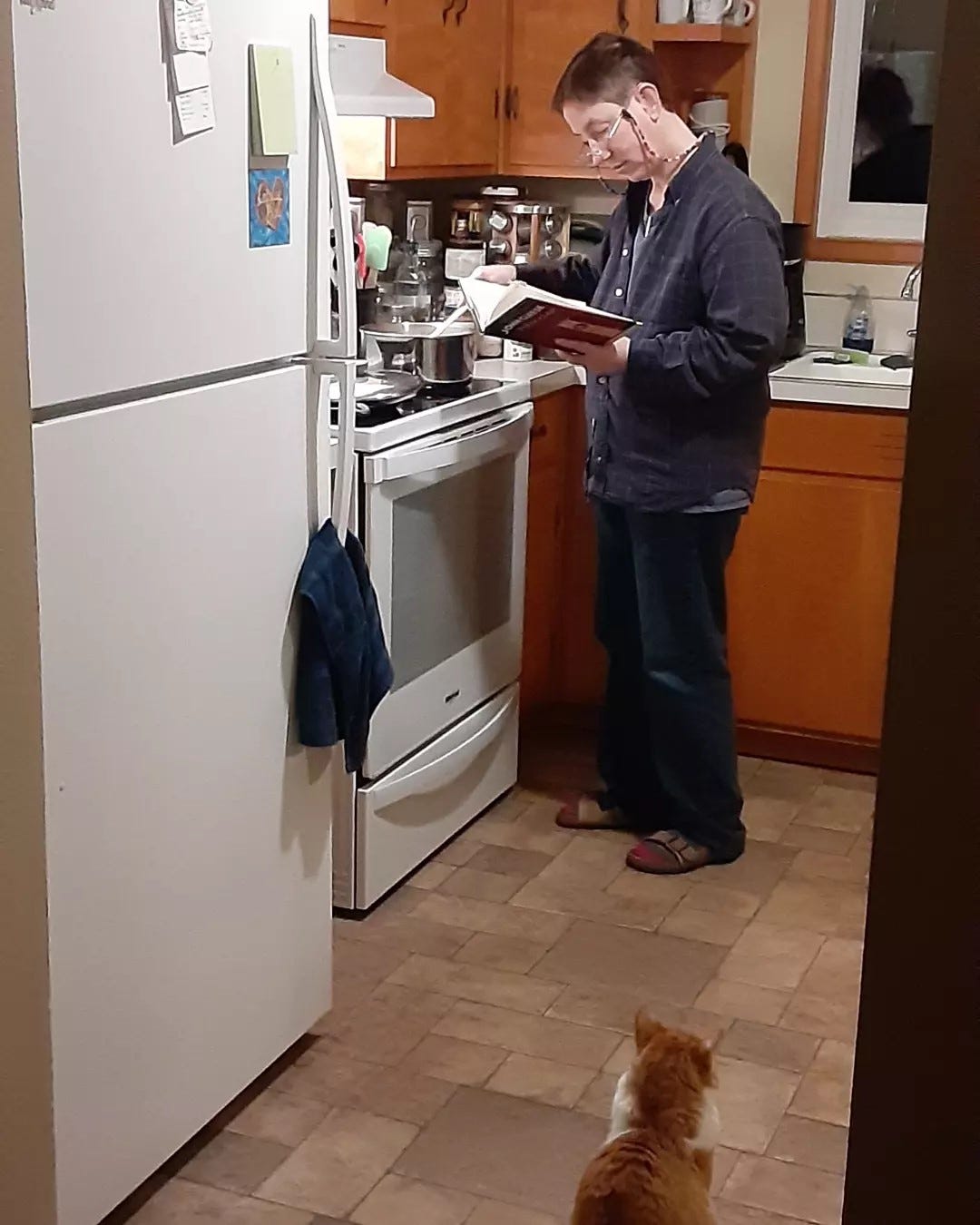 Shot in the Kitchen: Sue Clancy - by Amie McGraham