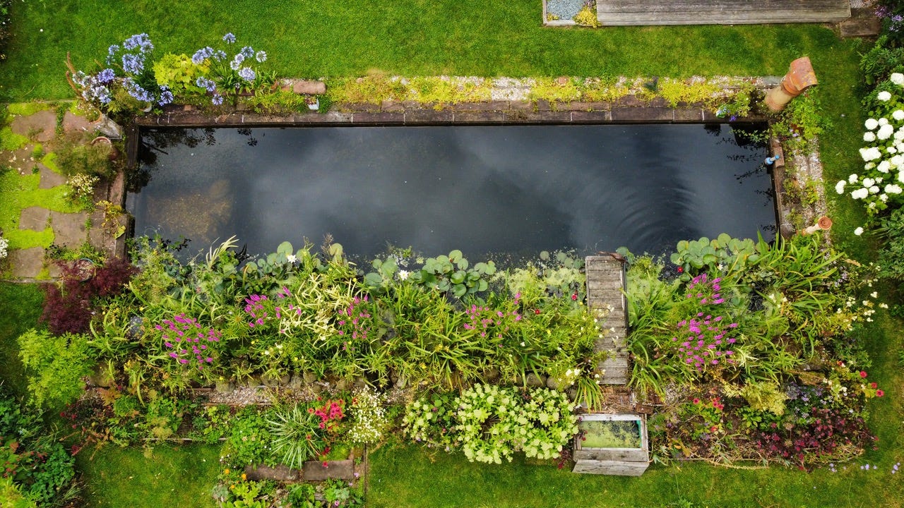 Pool Gallery - Organic Pools by David Pagan Butler