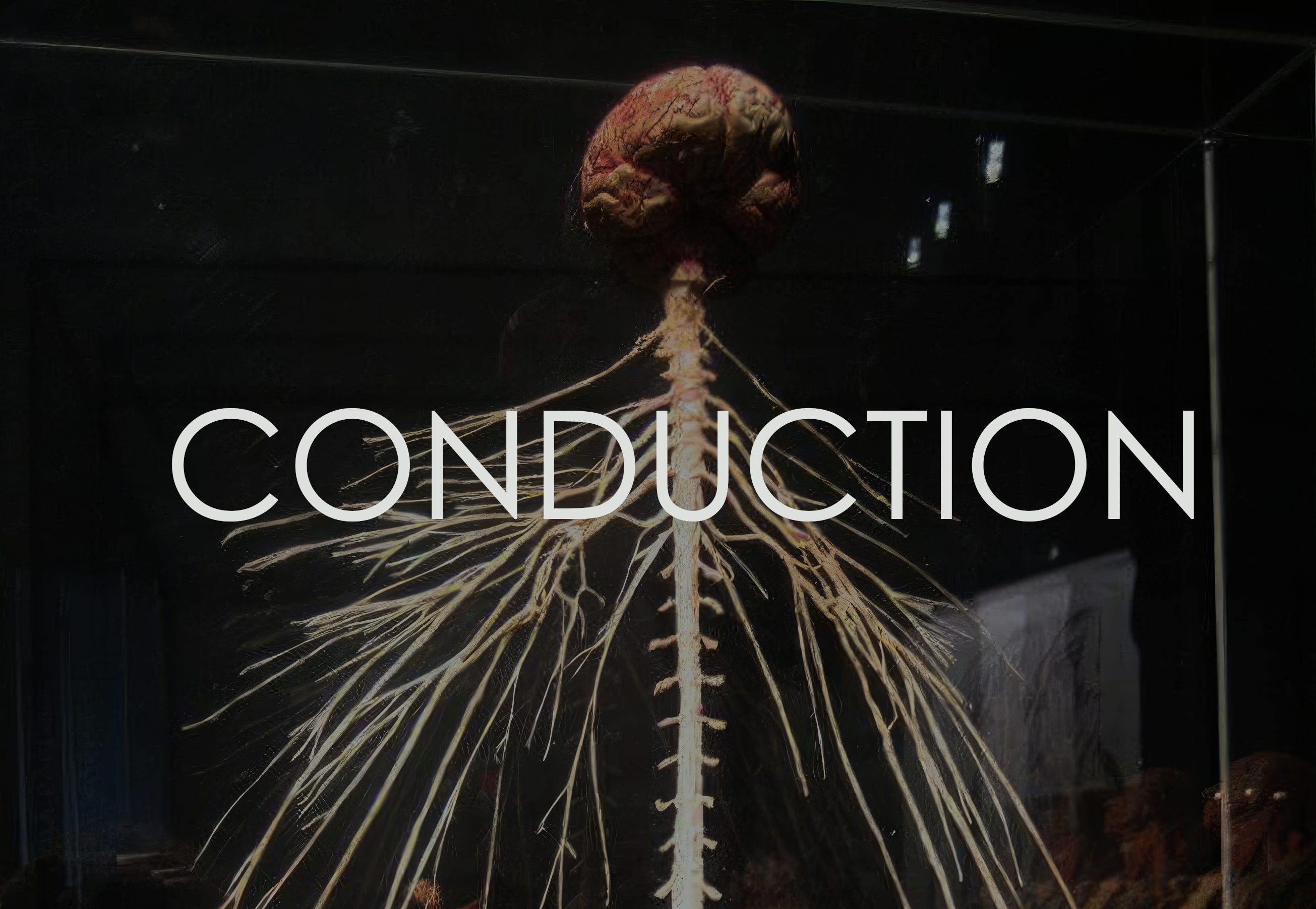 Symbols of Mass Conduction - by Gryphon ☿ - Son of Mercury