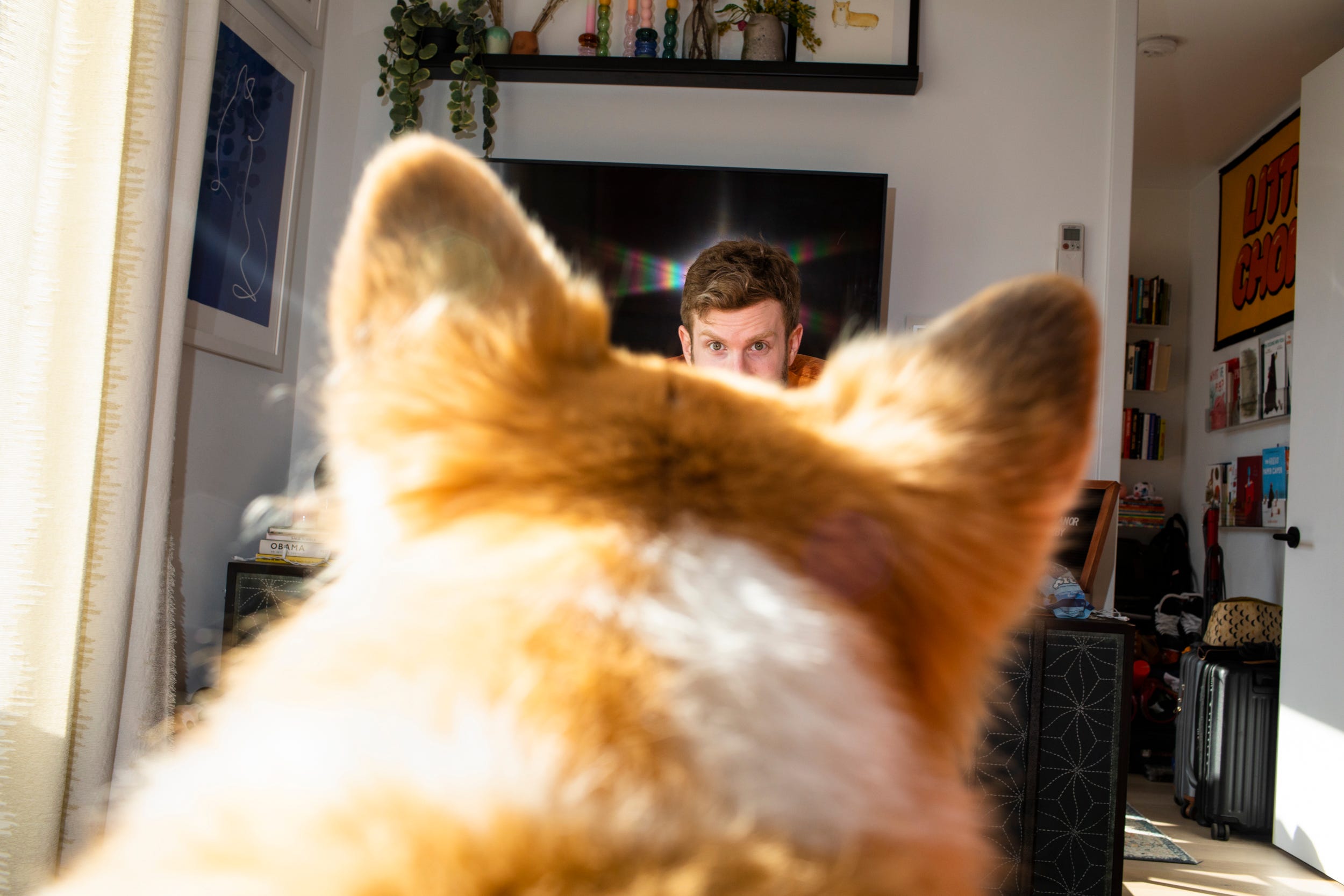 When Your Dog Pays the Mortgage - by Noah Rinsky