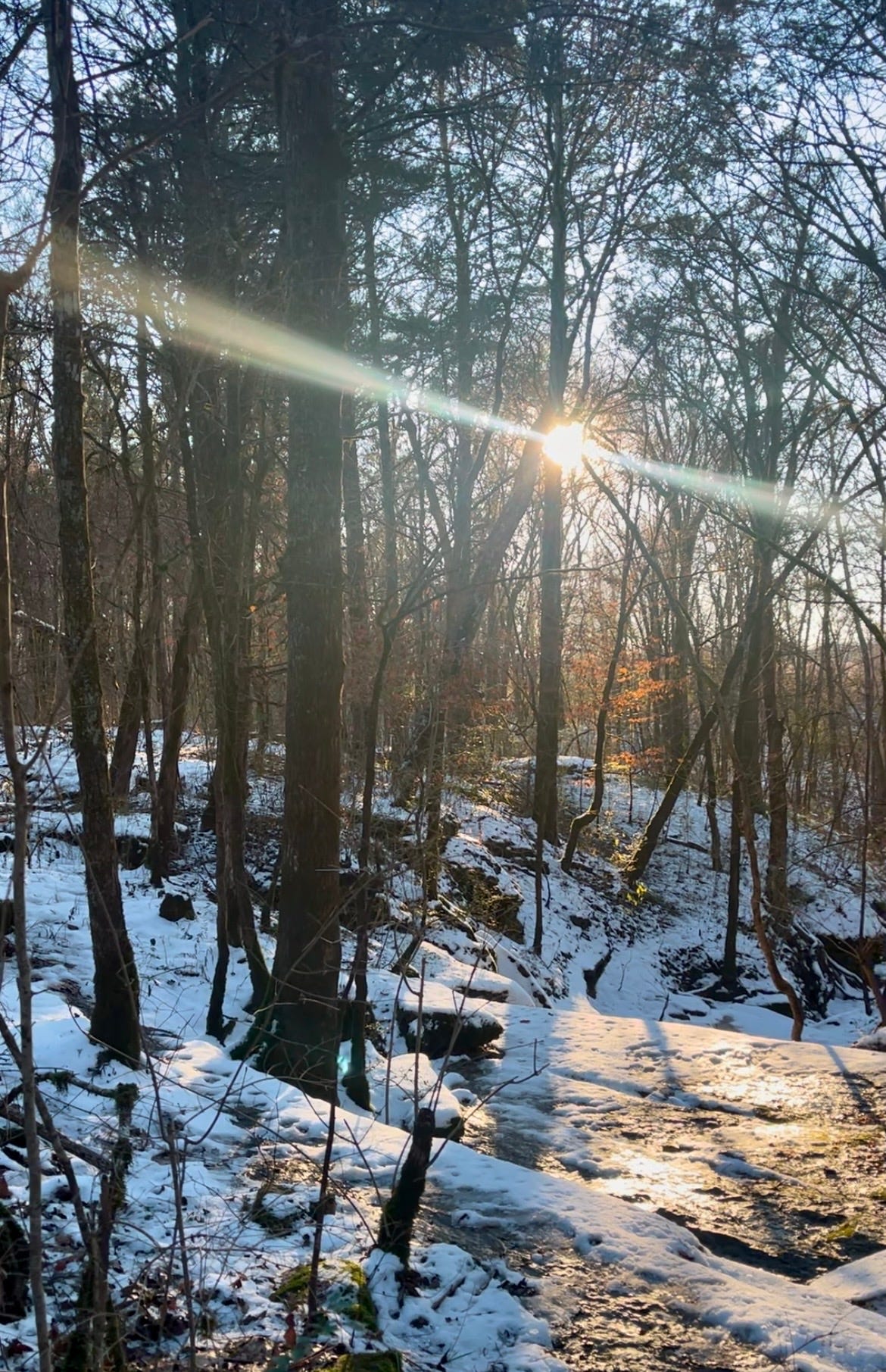 Walk Into Winter’s Howl - by Juliette Furnish