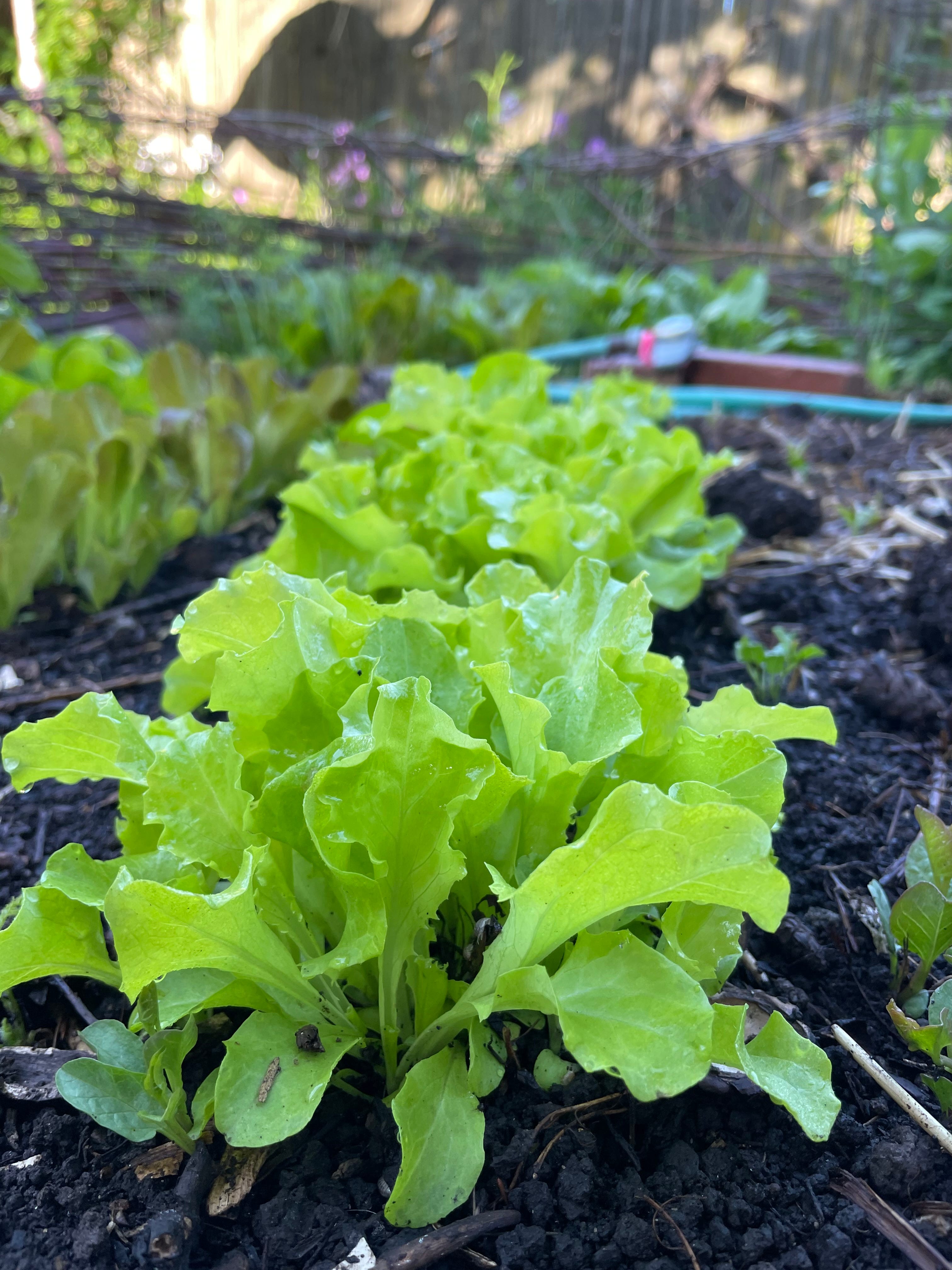 how to finish a tapestry - by Sarah C Swett - The Gusset