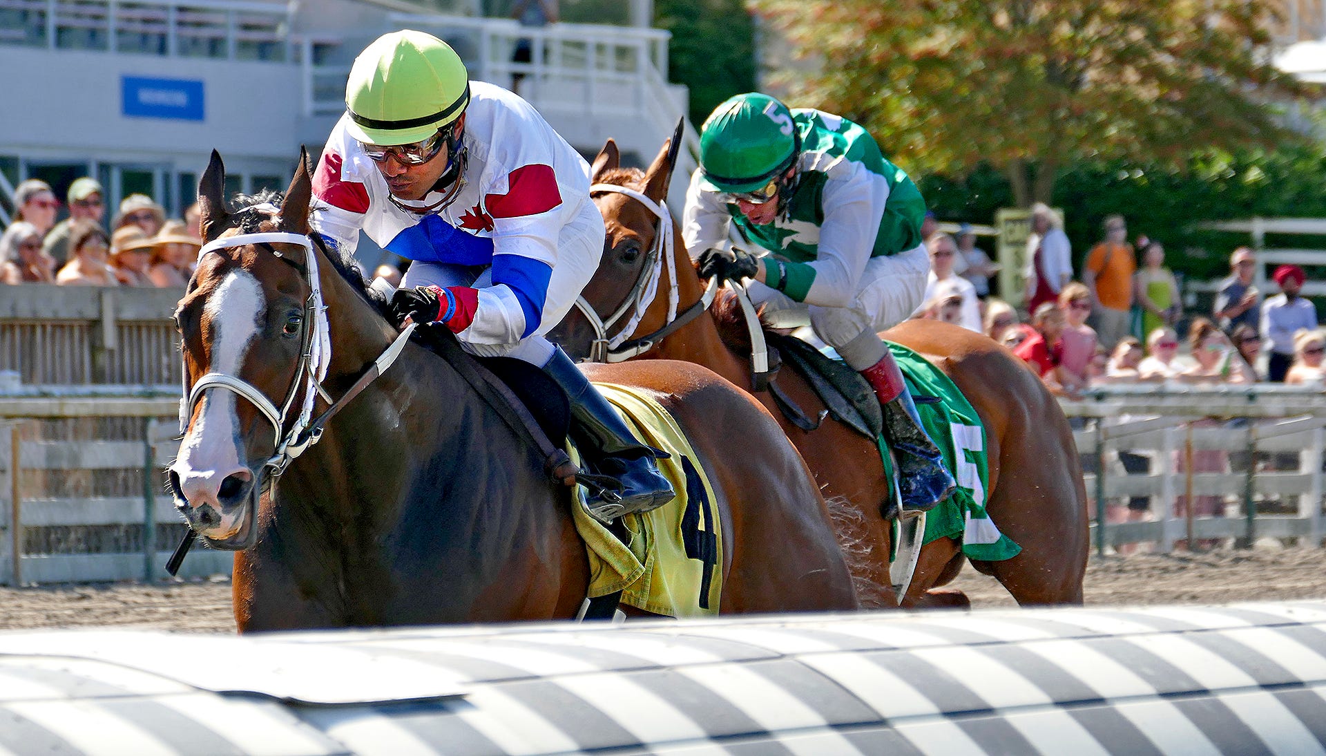 Patience Back in Work - by Nigel Reid - Horseracing BC