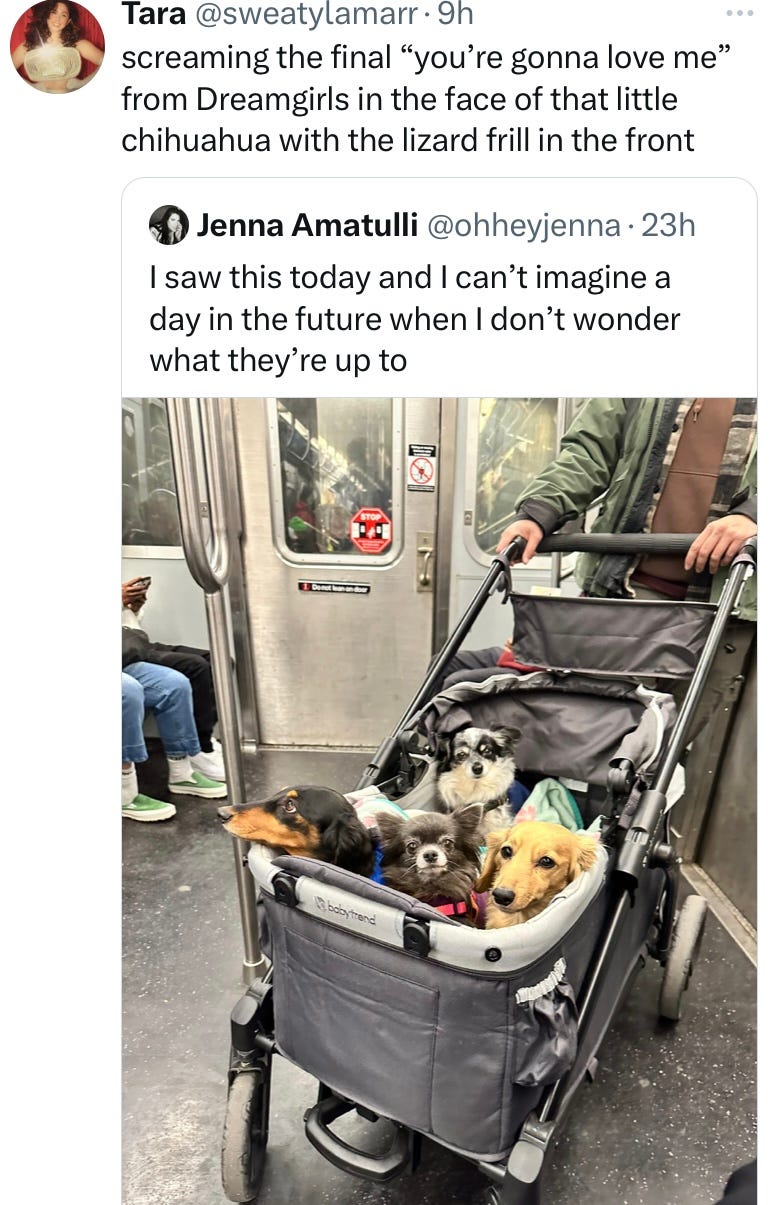 57. The Week in Me - by Tara Giancaspro