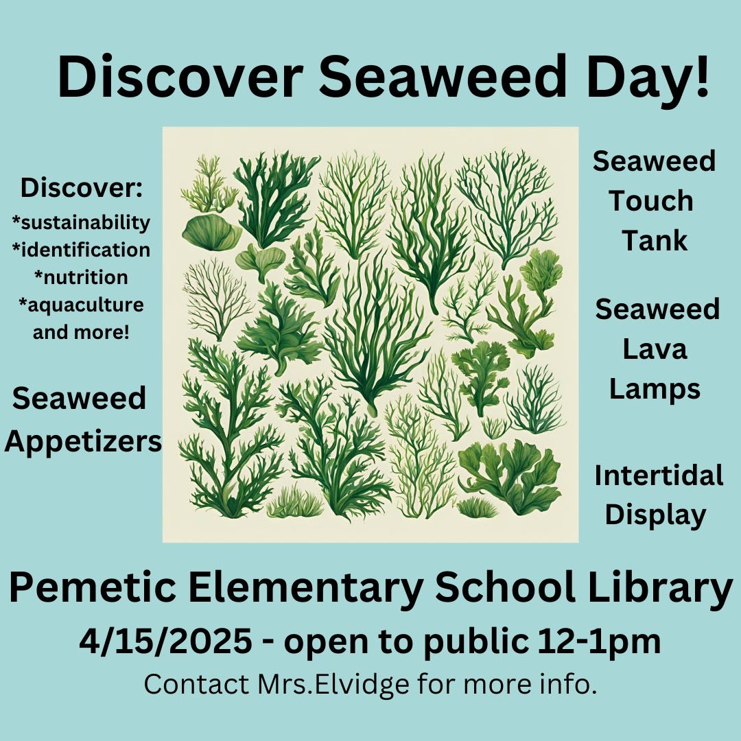 DISCOVER SEAWEED DAY! - by Carrie Jones
