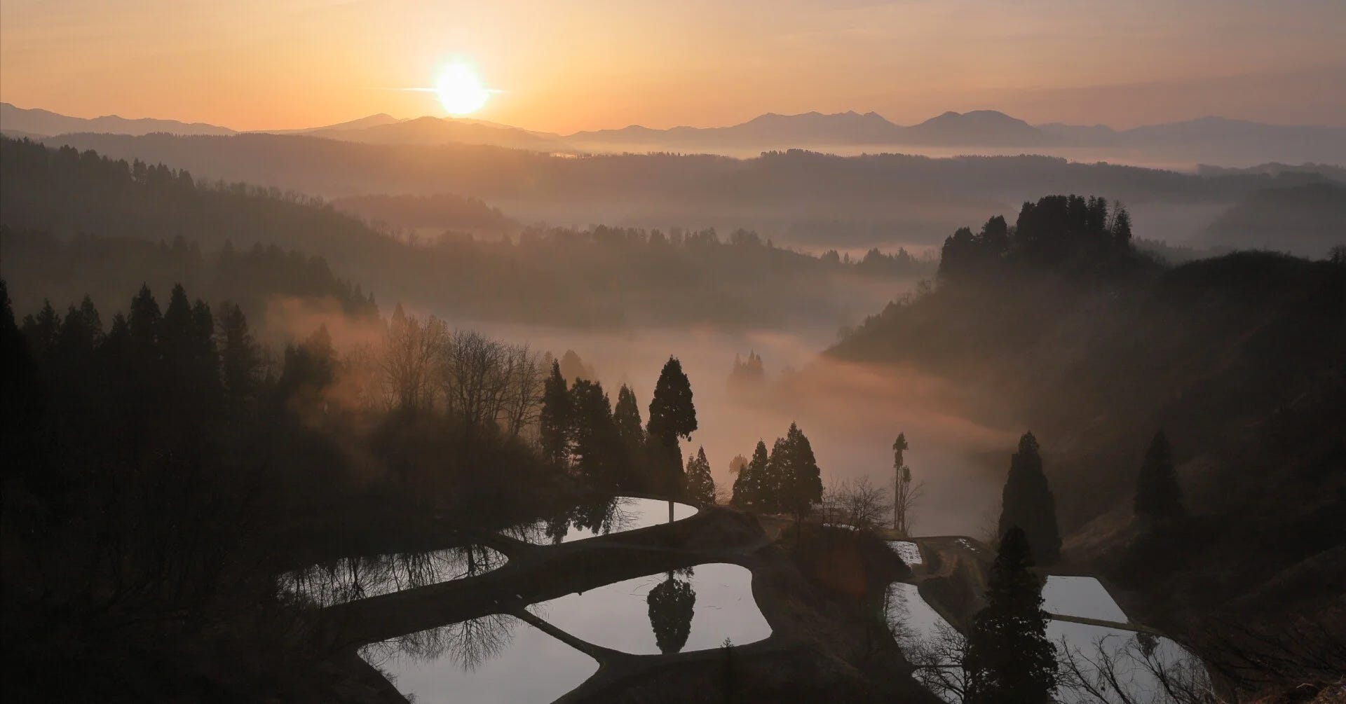 Starting A New Company in Yamakoshi - Local DAO in Yamakoshi to the Globe