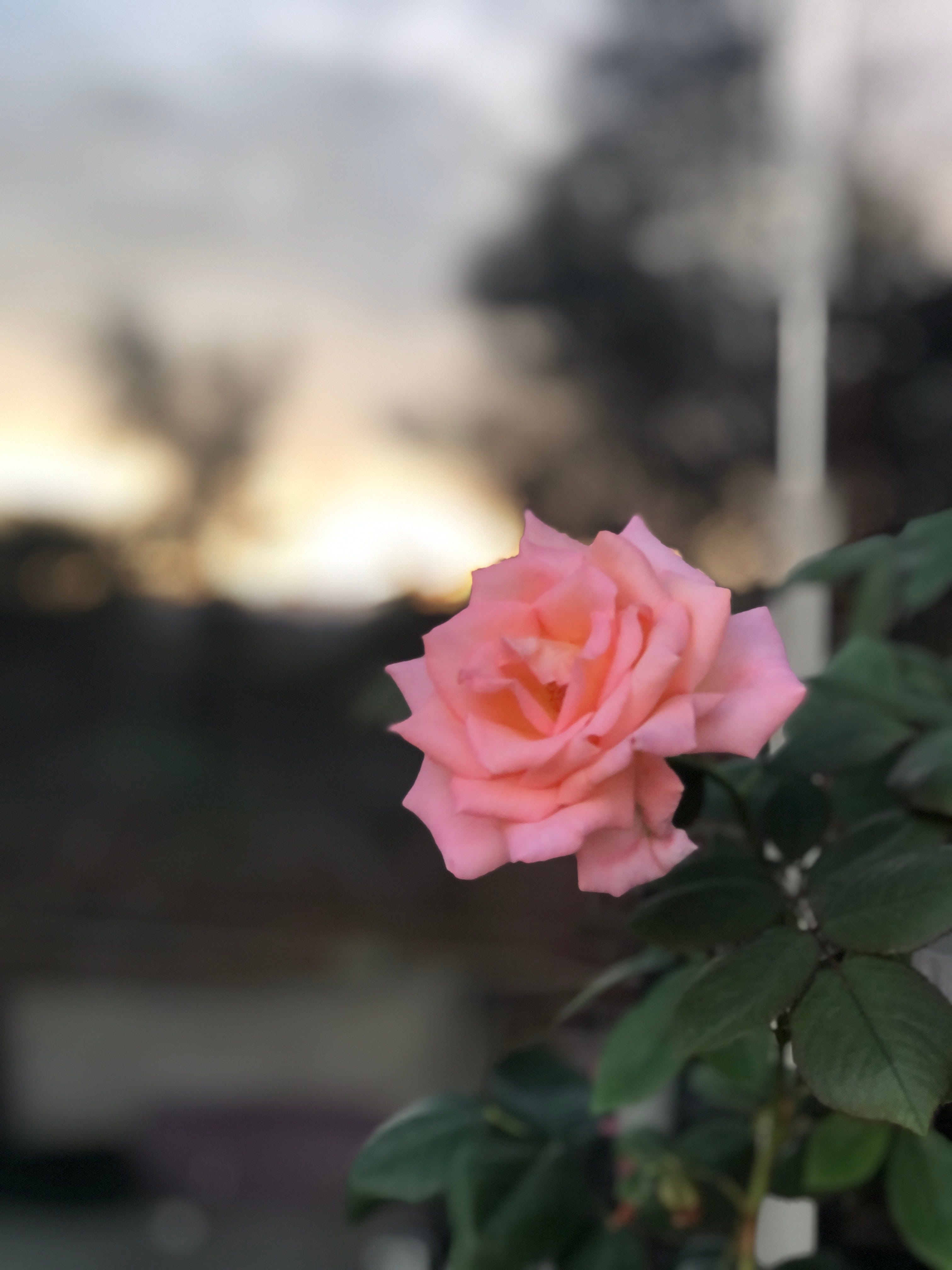 Qoya Inspired Movement In-person class this weekend