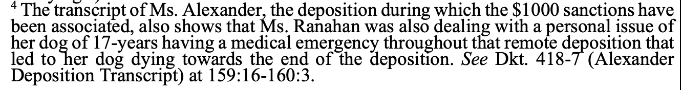 $1,000 sanctions order reveals innerworkings of scorched-earth OMG ...
