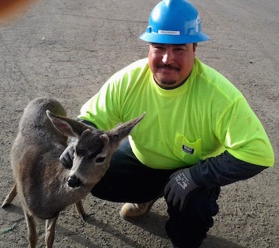 Leadership (Commentary) - by James Don BlueWolf