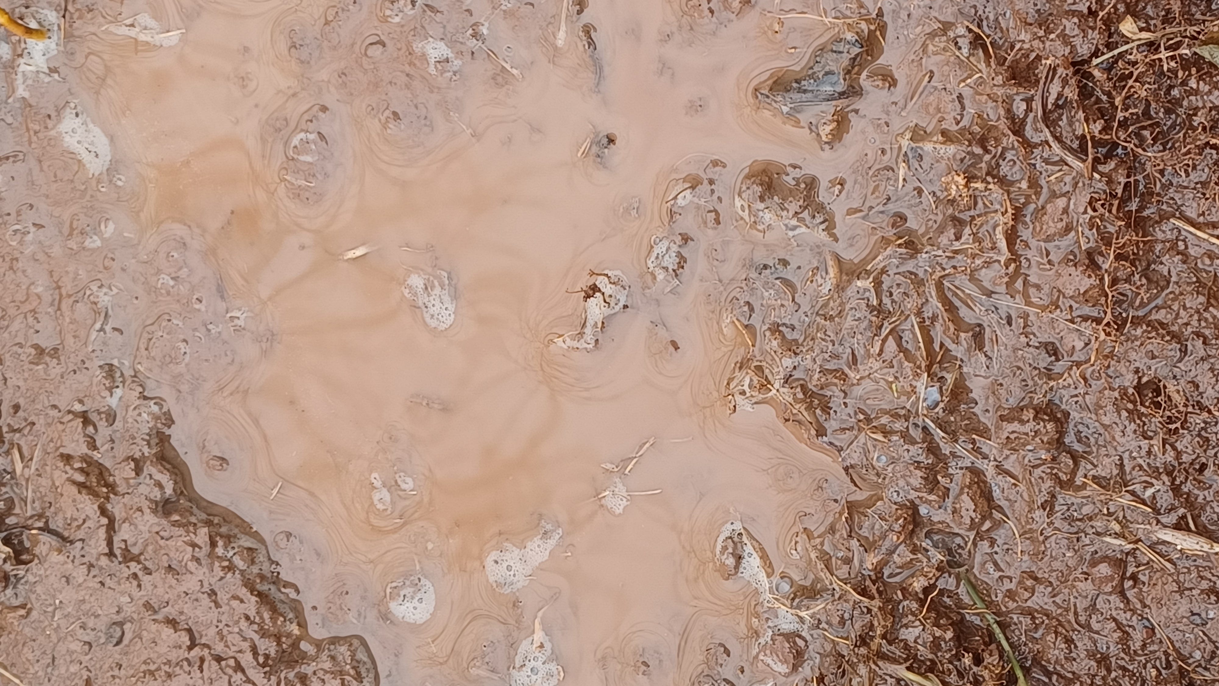 just mud by Ron | Substack