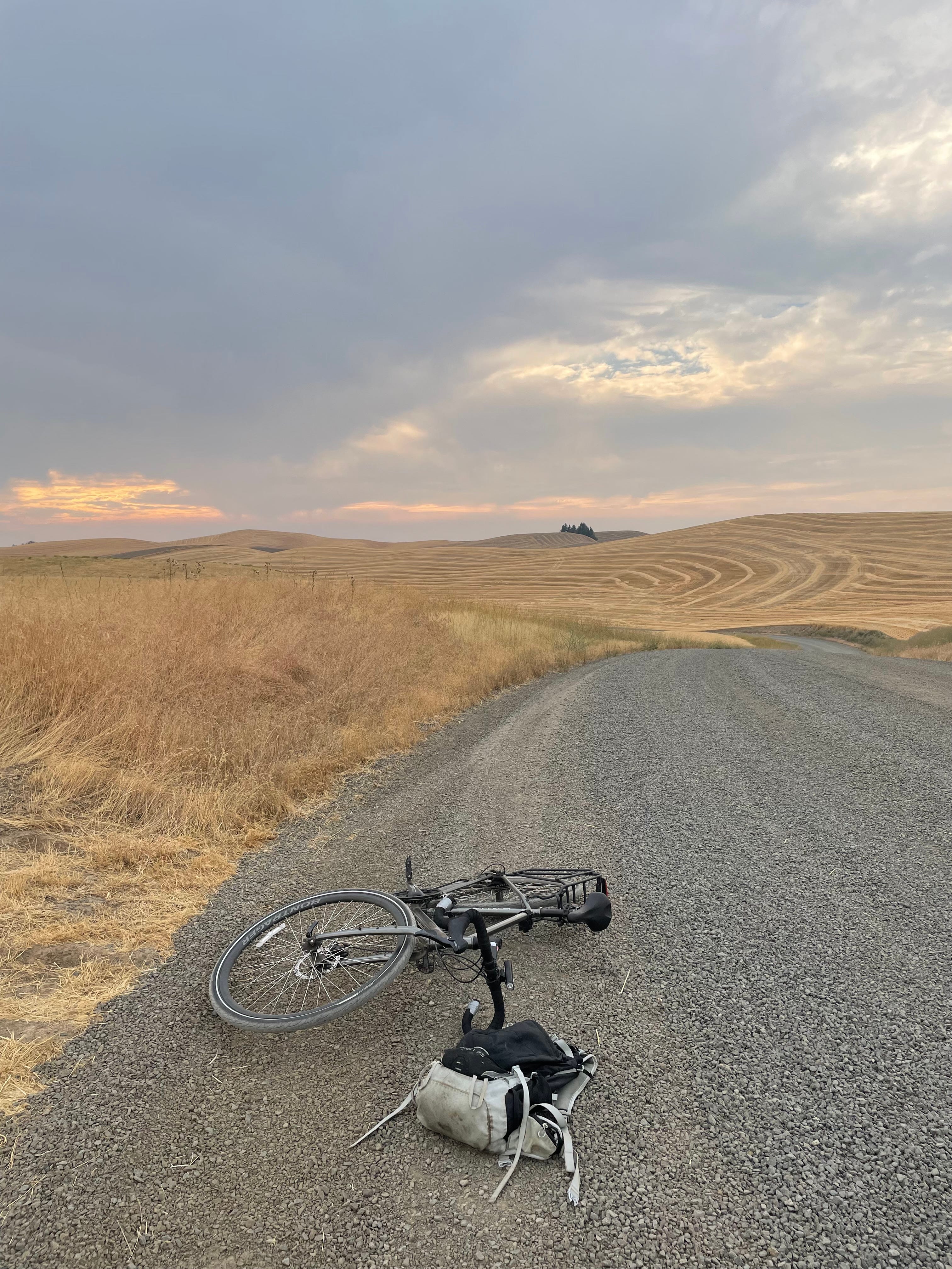 Sam Painter | Substack