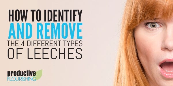 How to Identify and Remove Productivity Leeches