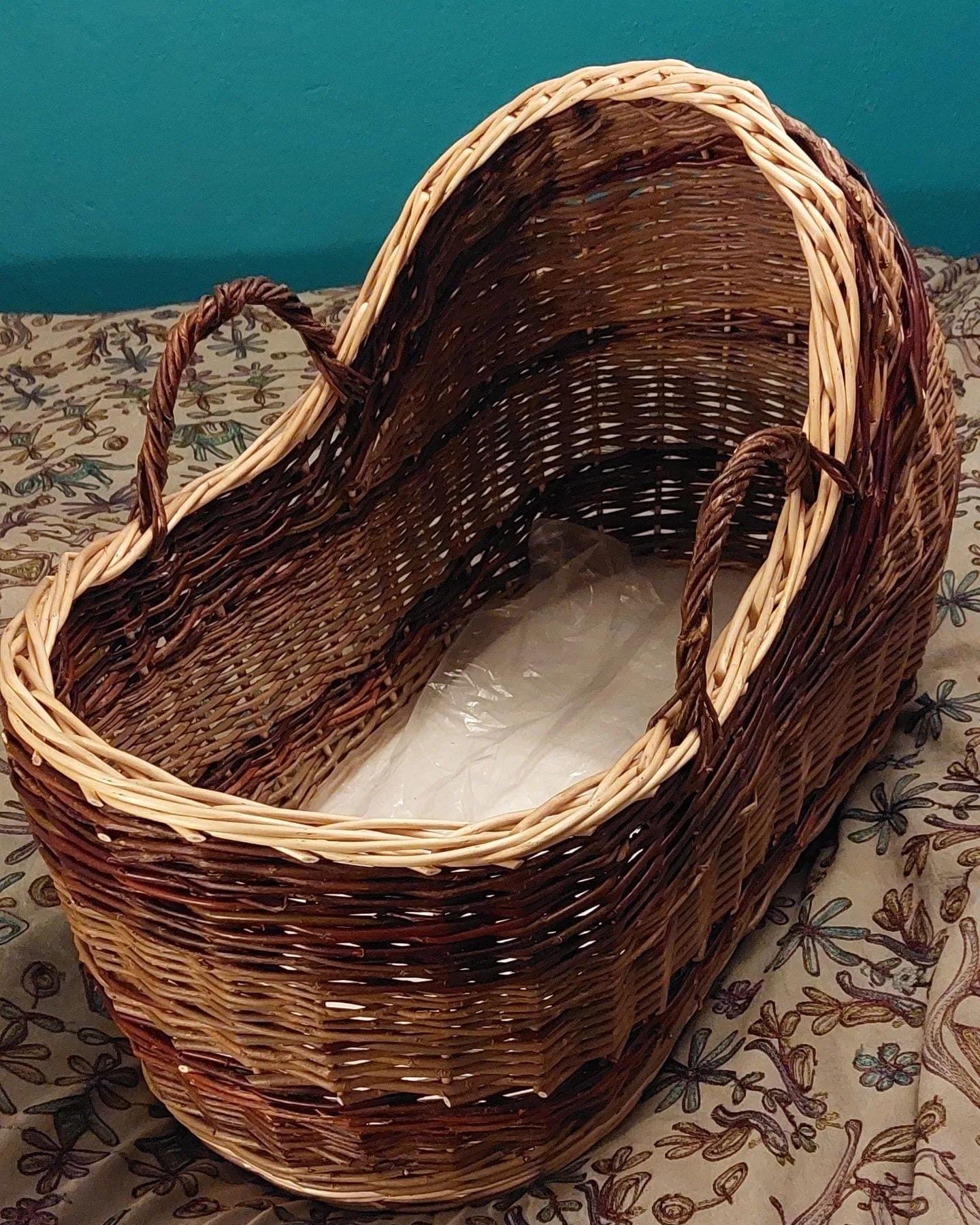 Saille The Willow - cultivation & uses