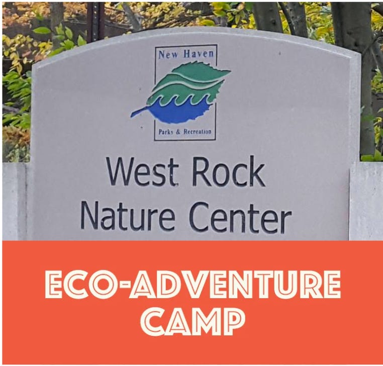 Special Edition: Hamden Guide to Summer Camps 2023