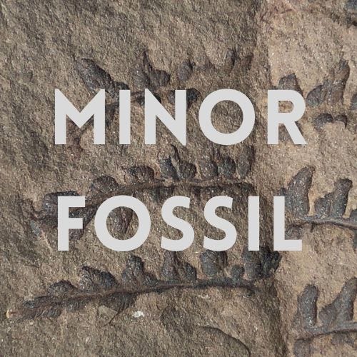 Minor Fossil | Substack