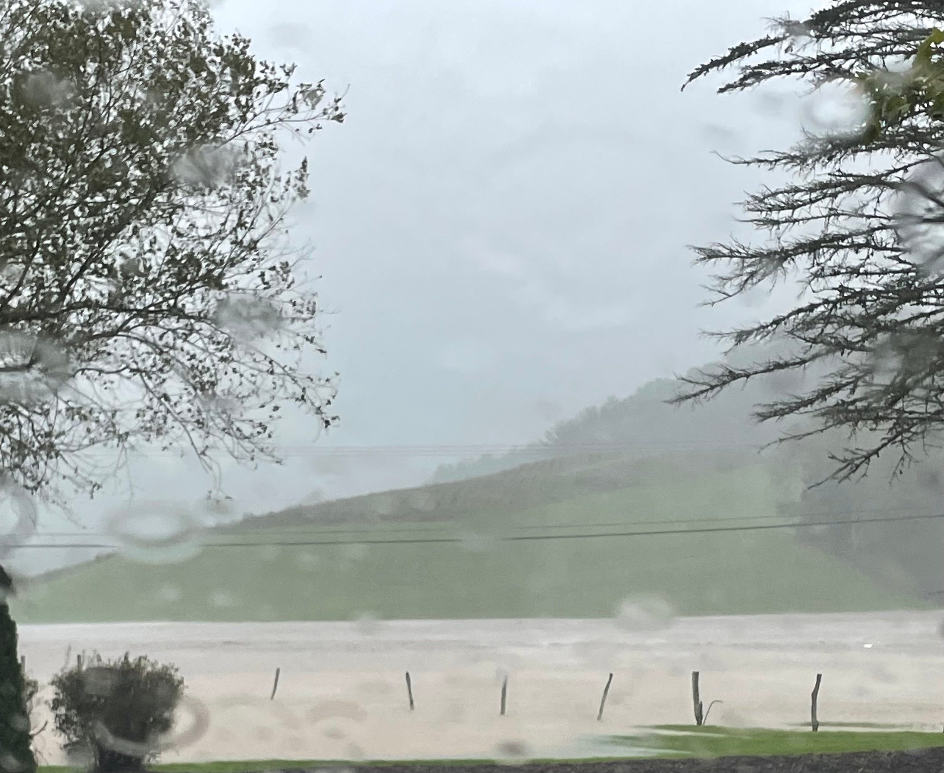 What was that thing You said? - Scott Delaney's Substack