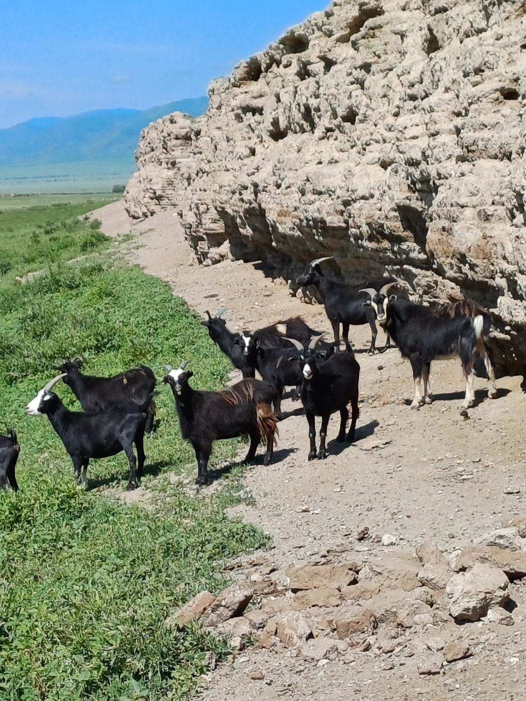 Across the Steppe, Part 10 - by Chris Tharp