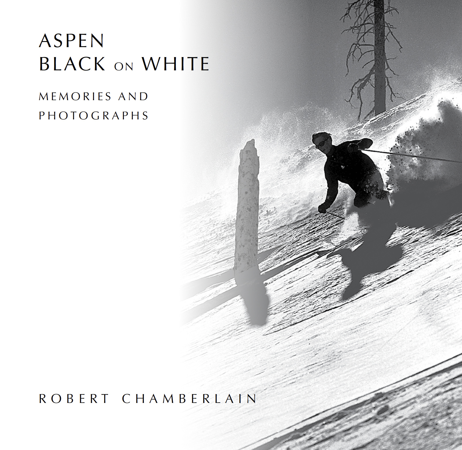 BOB CHAMBERLAIN - eight lives to go - by Paul G. Ryan