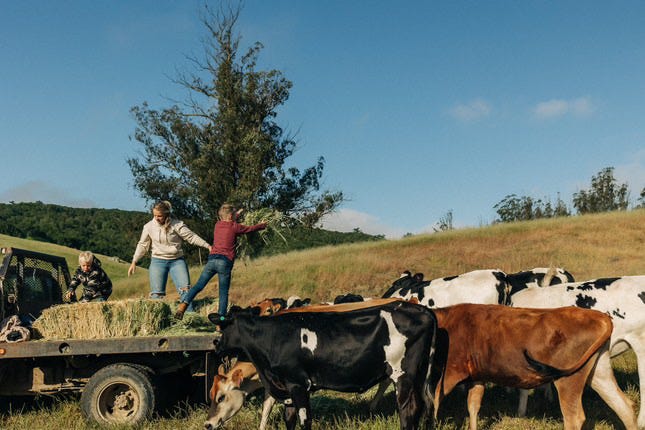 California Voters Reject Nation's First Farm Ban, Farmers Reflect on ...