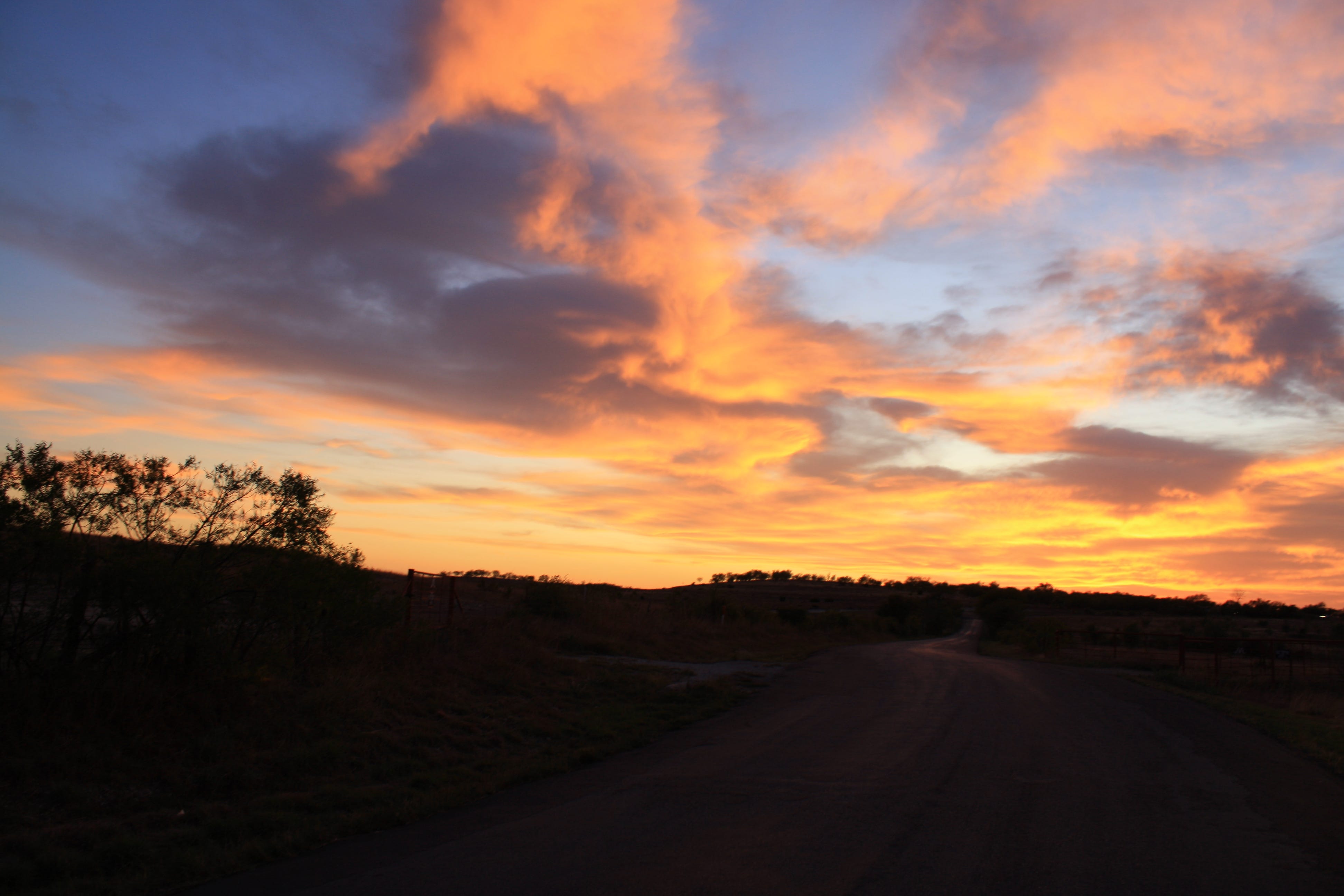 Is Nature Boring? - by Michael Smith - Rain Lilies