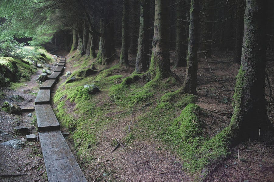 Quality Spread Trends: Treacherous Path, Watch Your Footing