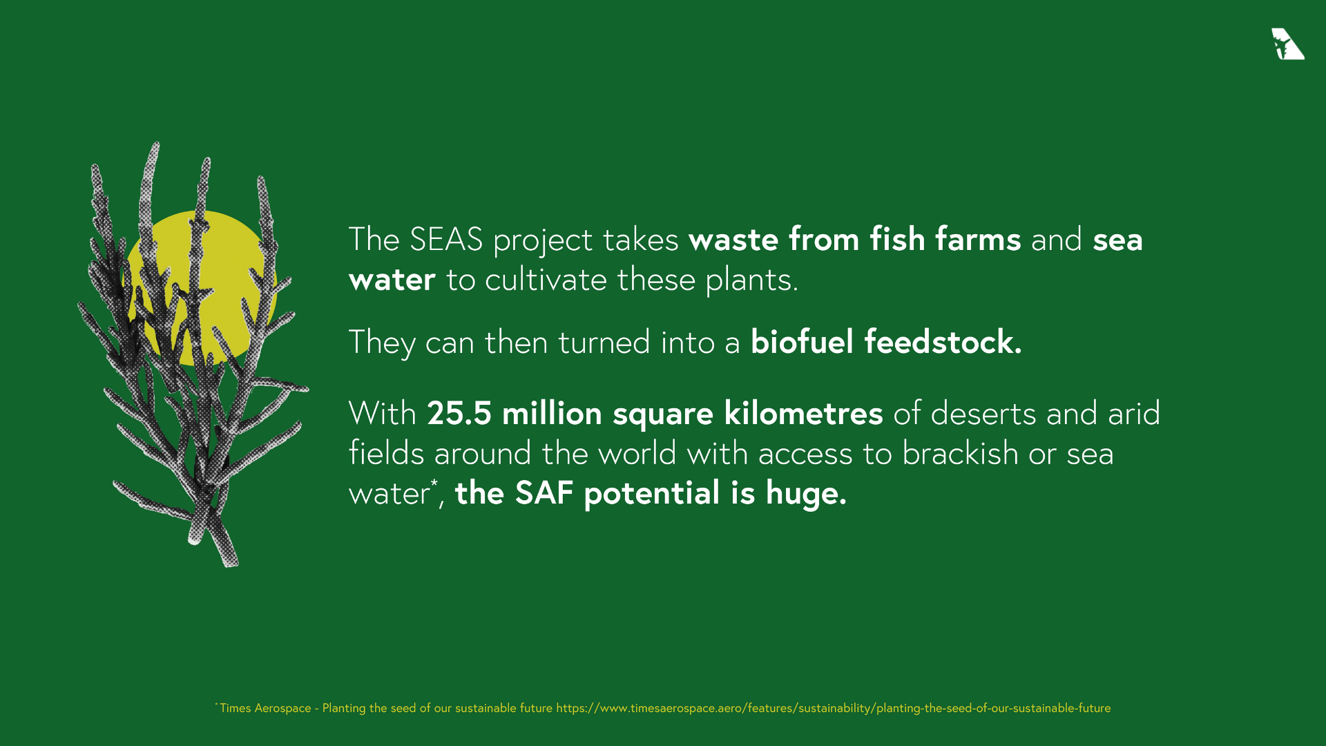 Understanding Sustainable Aviation in 40 Charts (Plus, Case Studies!)