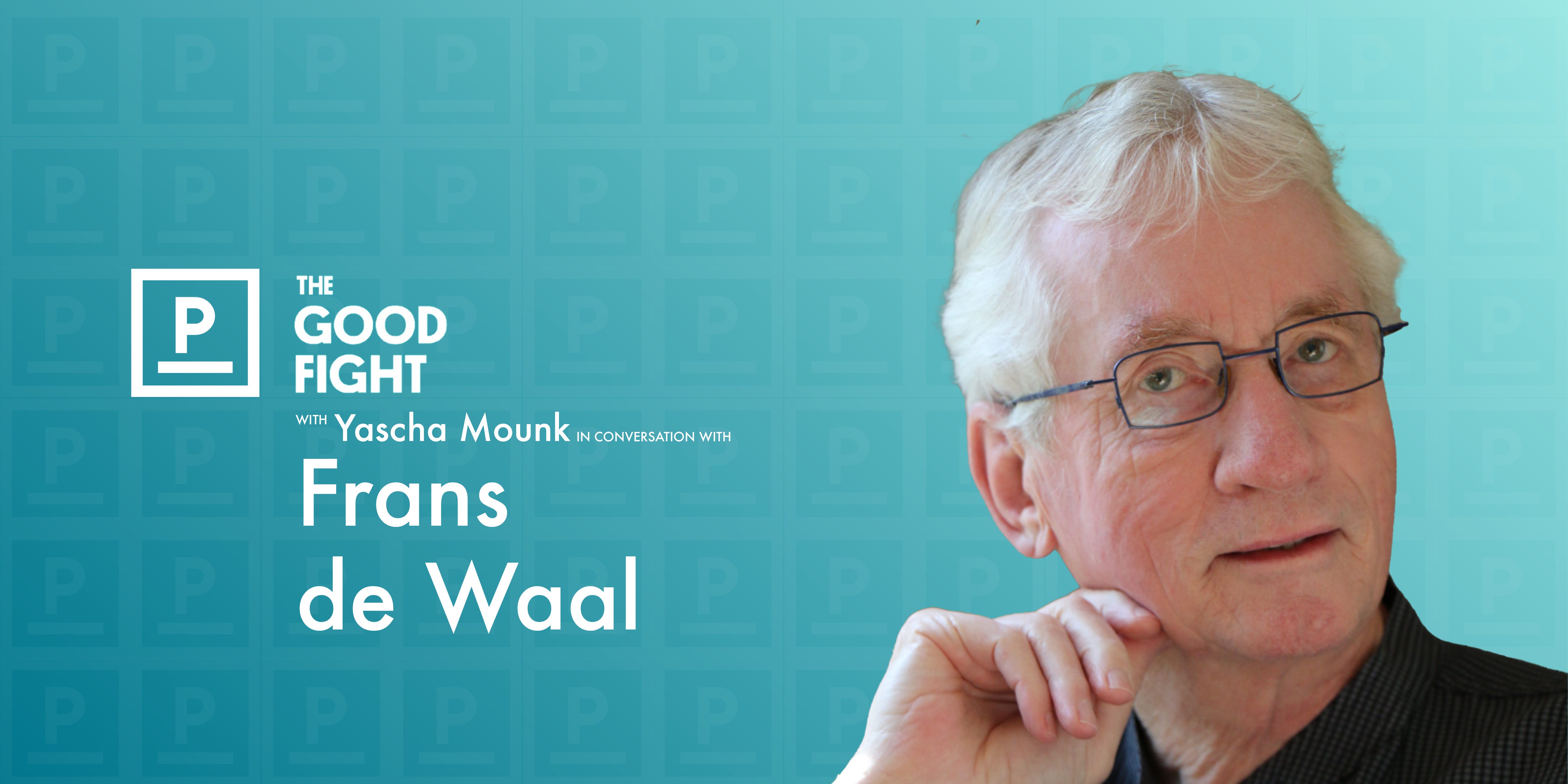 Frans de Waal on Chimpanzee—and Human—Politics