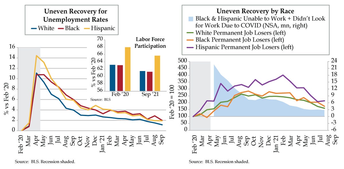 Exploding Bamboo - by Virginia Hassell - The Daily Feather