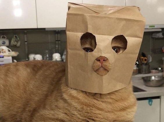 Deploy na Sexta #003: Preciso fazer faculdade para trabalhar com ...