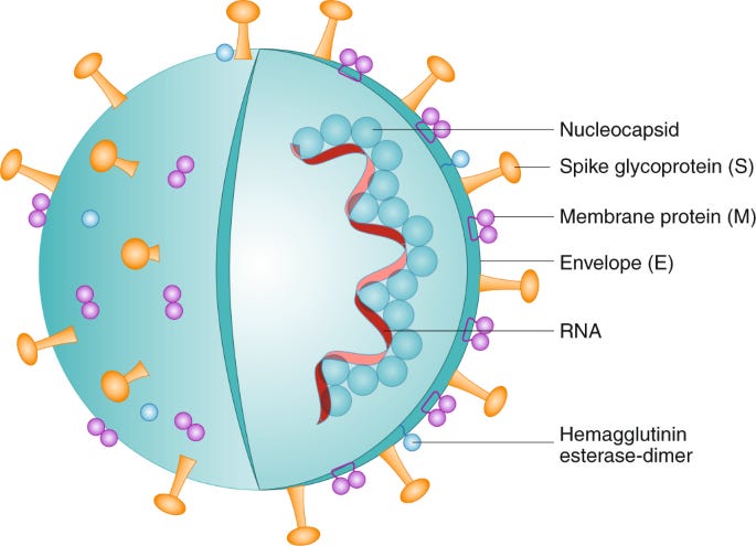 5G Activation of Spike Protein: Gauss Divergence Theorem explains it all!