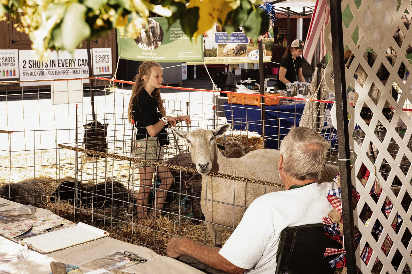 The New American Homesteaders - by Olivia Reingold