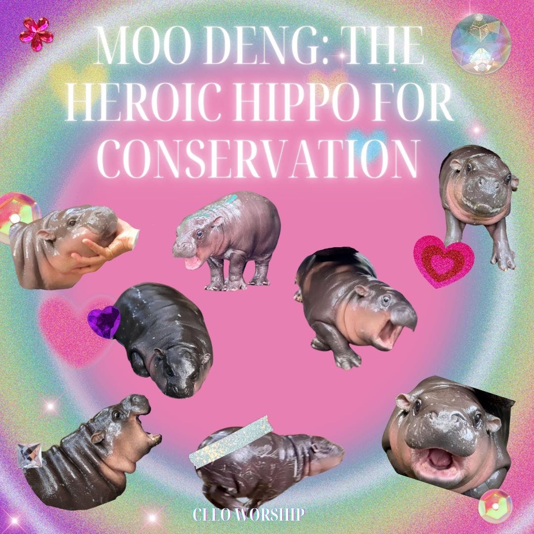 Moo Deng: The Heroic Hippo for Conservation
