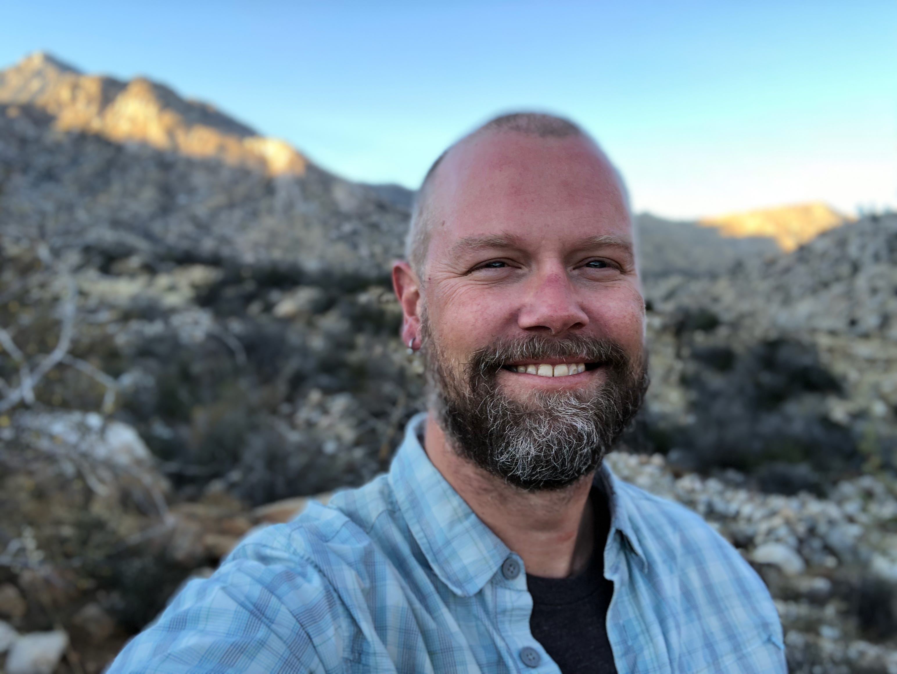 Dear Ben - by Zephyr Pfotenhauer - Black Swan Phenom