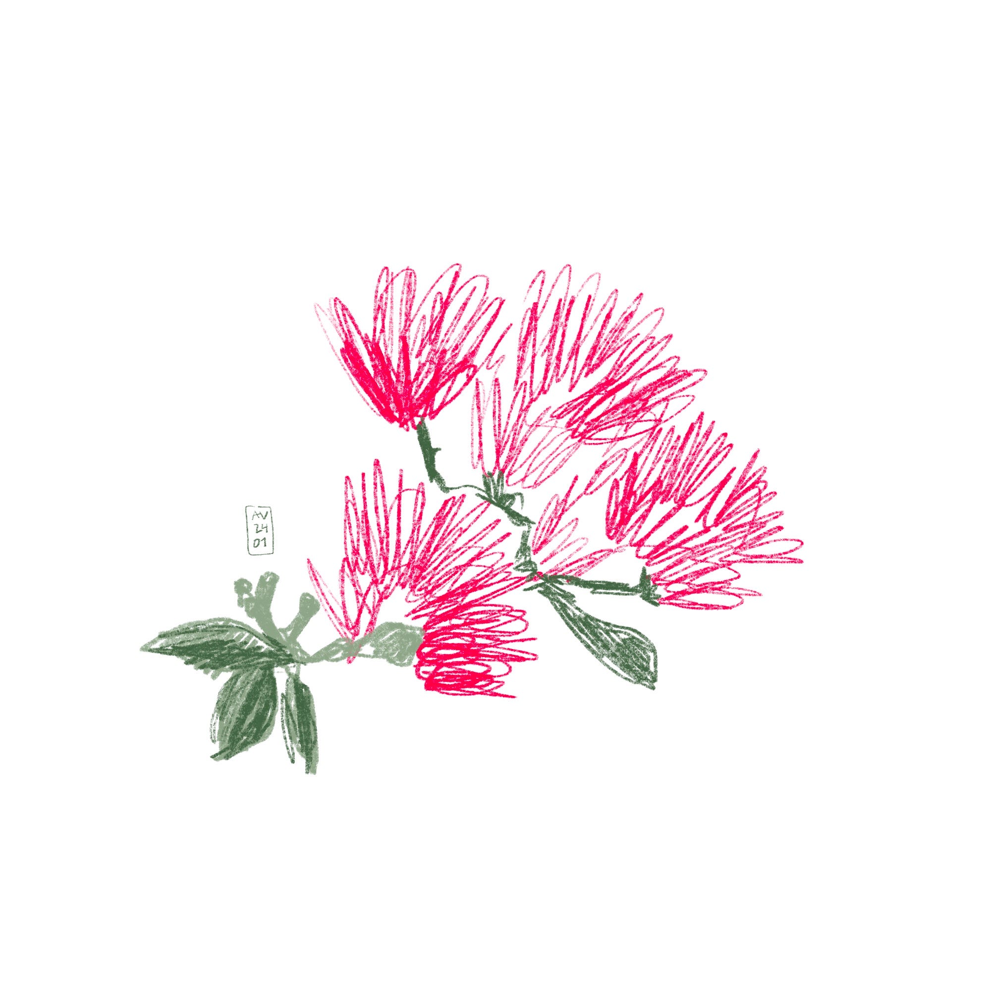 🥝 Rangitoto Island - by Ana Vila - The Sketch Club